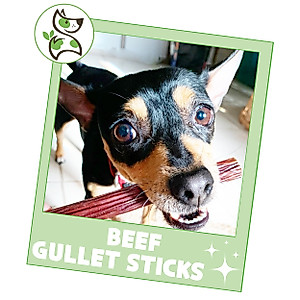 Nature Gnaws Beef Gullet Sticks for Dogs 5-6" (8oz) - Natural Beef Jerky Stick Dog Chew Treats - Rawhide Free