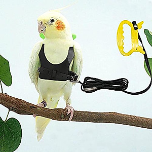 Pet Parrot Bird Harness and Leash, Adjustable Bird Harness Leash for Trainning, Black Fashion Vest, Suitable for Cockatiel,Parrot,Parakeets Conures, Macaws, Parrots, Love Birds，Finches (S)