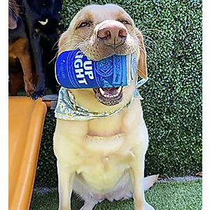 Nestpark Pup Light and Pups Blue Rubbin - Funny Dog Toys - Plush Squeaky Dog Toys for Medium, Small and Large - Cute Dog Gifts for Dog Birthday - Cool Stuffed Parody Dog Toys (2 Pack) (Mix)