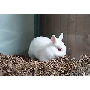 FiberCore Eco-Bedding Odor Control Pet