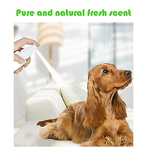 Allergy Itch Relief Spray for Cat and Dog and Cat, Relieves The Urge to Itch, Lick, and Scratch | 4 Ounces