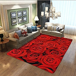 AIDOXY Area Rug, Red Rose Anti-Slip Mat Area Rug Runners Floor Soft Rug for Kitchen Bedroom Living Room Bathroom Girls Room Decor, Vintage Farmhouse Decor 19.6"x31.5"