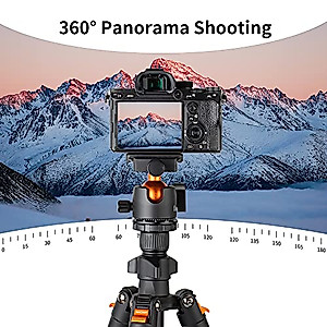 K&F Concept 64 inch/163cm Camera Tripod,Lightweight Aluminum Travel Outdoor Tripods with 360 Degree Ball Head Load Capacity 8kg/17.6lbs,Quick Release Plate, for DSLR Cameras K234A0+BH-28L