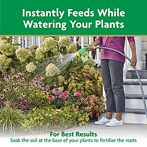 Miracle-Gro Water Soluble All Purpose Plant Food, 3 lb