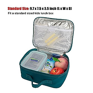 HawLander Insulated Kids Lunch Box Bag for Boys and Girls, Standard Size for School (Blue Green)