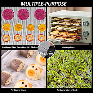 8 Pack Medium Silicone Tray Grid Mats for Harvest Right Freeze Dryer Trays Reusable Accessory for Freeze Dryer Machine Food Grade Materials (M - Medium)