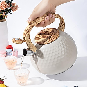 Zalnuuk Tea Kettle, Tea Pot with Cool Touch Ergonomic Handle, Tea Kettle Food Grade Stainless Steel, Tea Kettle Stovetop, Kettle Teapot, Whistling Tea Kettle, Small Tea Kettle, 3.2 Quart