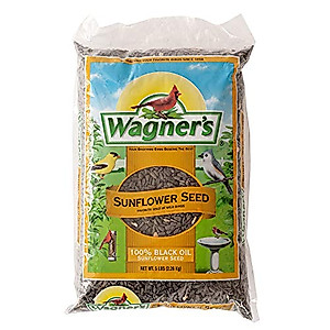 Wagner's 52023 Black Oil Sunflower Seed Wild Bird Food, 5-Pound Bag