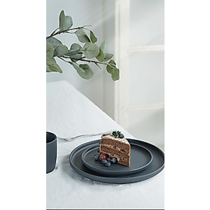 Famiware Dawn Plates and Bowls Sets, 12 Pieces Stoneware Dinnerware Sets, Dishes Set for 4, Microwave and Dishwasher Safe, Charcoal