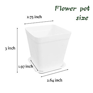 OJYUDD 3inch White Square Plastic Plant Pots with Saucer,24 Pcs Plastic Flower Pots for Plants,Plant Pots with Drainage Hole for Home,Company,Office and Garden(White)