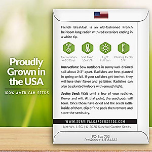 Survival Garden Seeds - French Breakfast Radish Seed for Planting - Pack with Instructions to Plant and Grow Long Radishes to Eat in Your Home Vegetable Garden - Non-GMO Heirloom Variety