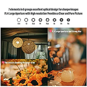 AstrHori 50mm F1.4 Large Aperture Full Frame Manual 2-in-1 Tilt Lens Miniature Model Effect & Filter Slot Compatible with Canon RF-Mount Mirrorless Camera EOS RP,EOS R5,EOS R6,EOS R3,EOS R