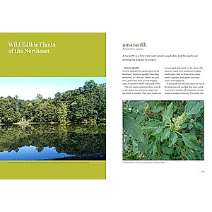 Northeast Foraging: 120 Wild and Flavorful Edibles from Beach Plums to Wineberries (Regional Foraging Series)