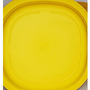 Birsppy ANGIEHAIE Microwave Luncheon Plates 9.5" Yellow