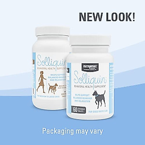 Nutramax Solliquin Calming Behavioral Health Supplement for All Dogs Over 8lbs - With L-Theanine, Magnolia / Phellodendron, and Whey Protein Concentrate, 60 Chewable Tablets
