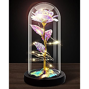 Otlonpe Rose Flower Womens Gifts for Christmas,Birthday Gifts for Women,Led Light Up Rose in Glass Dome Gifts for Mom,Colorful Glass Flower Forever Rose Gifts for Her Anniversary,Indoor Decor-Rainbow