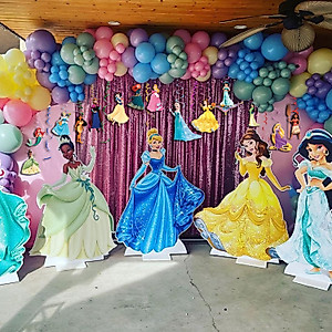 34 Pieces Princess Birthday Party Decorations Princess Merch Hanging Swirls Streams for Princess Theme Kids Girls Boys Party Decor Baby Shower Supplies