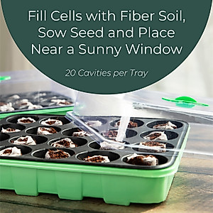Window Garden 20 Cavity Seed Propagation Kits (2) – Complete with Fiber Soil and Ventilated Greenhouse Trays. Germinate Seeds in a Window or Under Lights for The Garden. Reusable Seedling Starter.