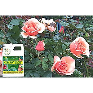 Grow Best 8-8-8 Liquid Plant Food