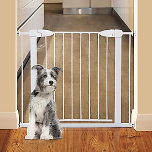 Dreambaby Boston Auto Close Gate with Ezy Check Indicator, White