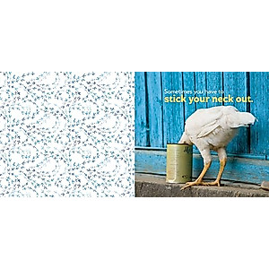 Chicken Wisdom Frame-Ups: 50 Inspirational Prints to Put You in a Fresh Frame of Mind