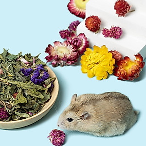 GLOGLOW Small Pet Bedding, Dried Flowers Plants Padding for Squirrels Guinea Pigs Rabbits Chinchillas Hamsters Gerbils(100g) Treats