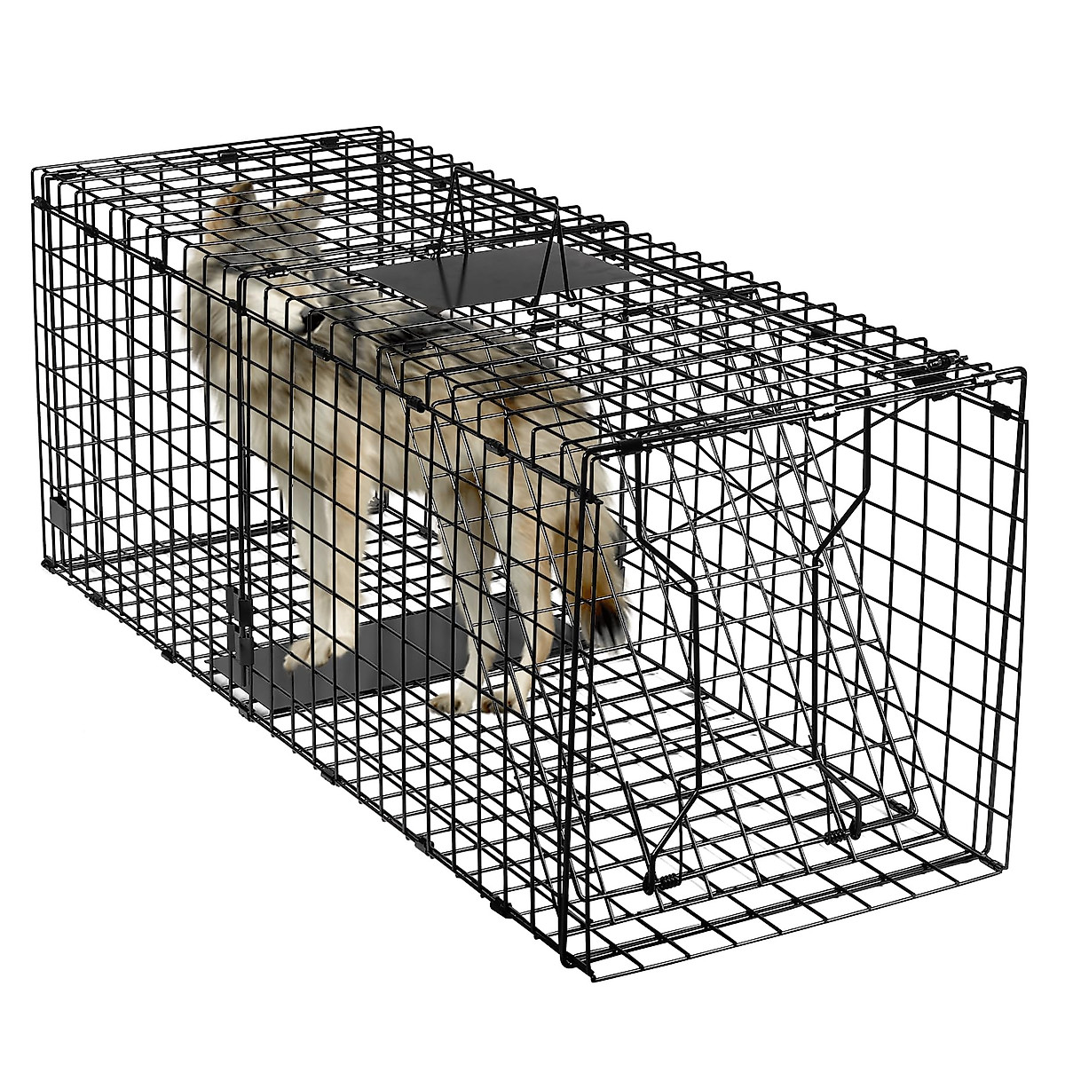 Toriexon Large Live Catch Animal Traps Black 51.2 x 19.7 x 17.7 inch, Easy to Set and Release Live Animal Trap, Collapsible Large Animal Catcher Cage for Large Dogs, Foxes
