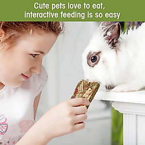 Abizoo Rabbit Natural Treats,10Pcs Timothy Hay Toys Chips Bunny chew Toys with Herbal Flowers Guinea Pig Treats for Hamster Chinchillas Gerbils Rats Small Animals Teeth Care Crisp Snacks