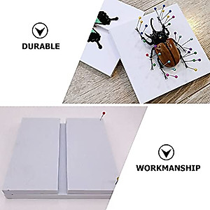 iplusmile Insect Display Box, Bug Display Board Insect Pinning Board Butterfly Mounting Spreading Board Specimen Spreading Board for Science Education
