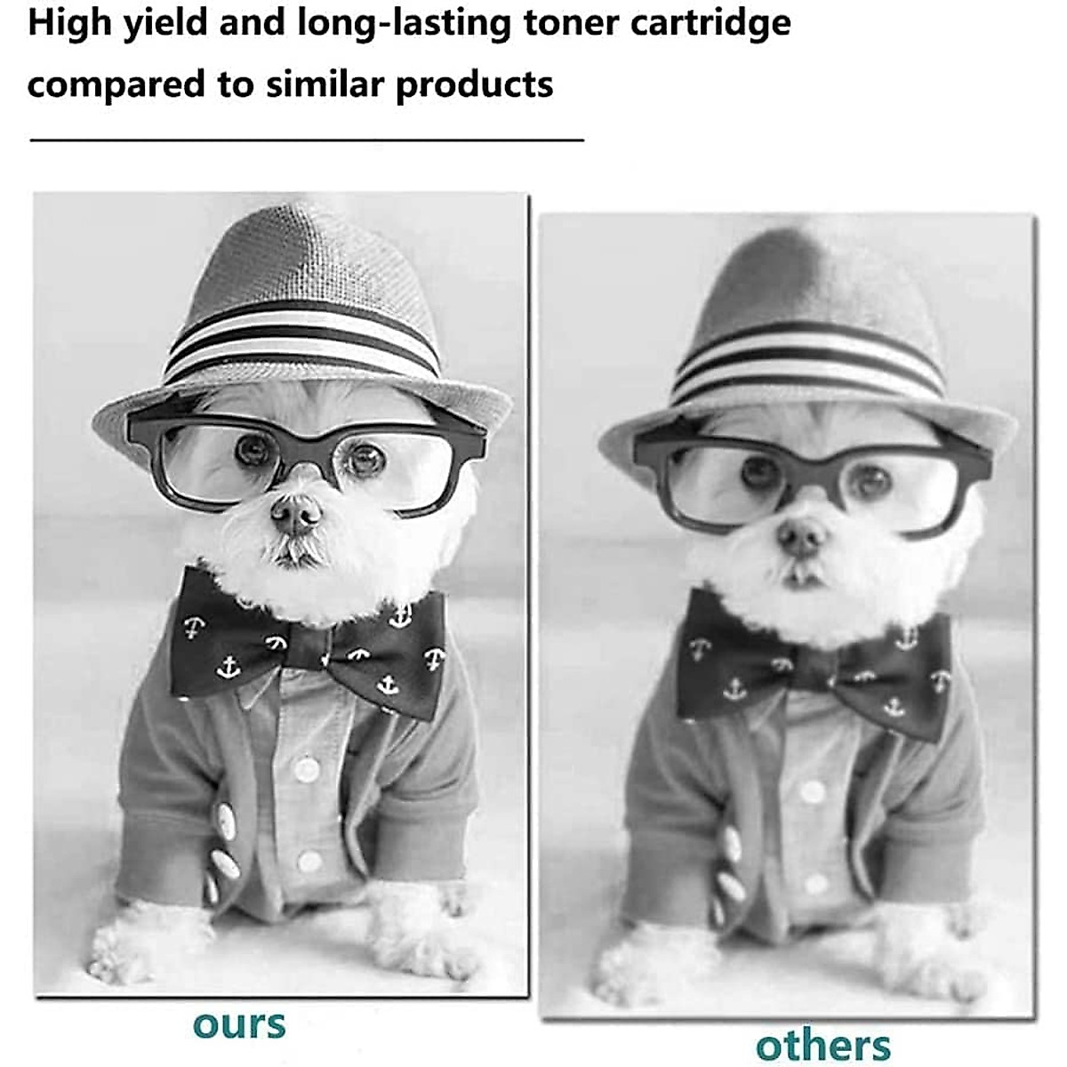 Compatible Drum Unit Replacement for Brother PLC-DR2455 Printer Drum Stand for use in DCPL2550 DW HLL2375DW HLL2385DW MFCL2715DW (1 Pack)