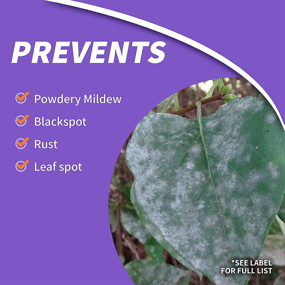 Bonide Rose Shield Spray, 64 oz Ready-to-Use, Insect and Disease Protection for Roses, Flowers and Ornamentals