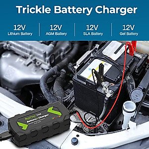 RoyPow 12V Battery Charger 3-Amp Automatic Smart Battery Maintainer, Trickle Charger, and Battery Desulfator with Alligator Clamp and Ring Terminal