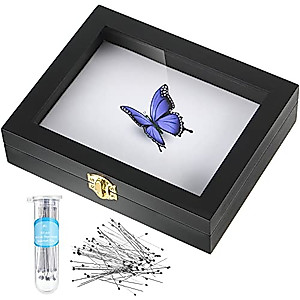 Insect Display Case Box Collection Box with Clear Top, EVA Foam Pinning Board and 100 Pieces Pins Insect Shadow Box Kit Entomology Supplies for Collecting Butterfly Specimen (Black)