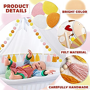 Groovy Party Decoration Garland 5Pcs, Groovy Hippie Banner Daisy Boho Tassel Garland Decor, Pre Strung Pom Pom Spring Party Supplies Hippie Party Decorations for Wall Window Home Room (Pink)