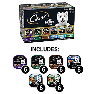 CESAR Adult Wet Dog Food Classic Loaf in Sauce Poultry Lovers Variety Pack, 3.5 oz. Easy Peel Trays with Real Chicken, Turkey or Duck, Pack of 36
