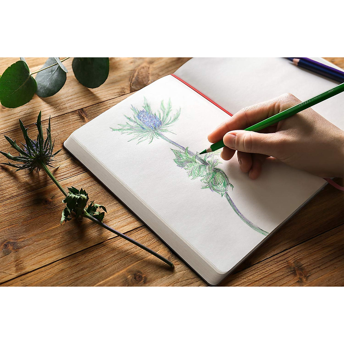 ARTEZA Hardcover Sketch Book 8.3x11.7 Drawing Pad 2 Pack 100 Sheets Sketch Pads for Drawing for Adults & Teens