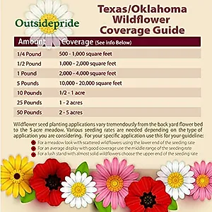 Outsidepride Texas/Oklahoma Wildflower Seed Mix - 1 LB