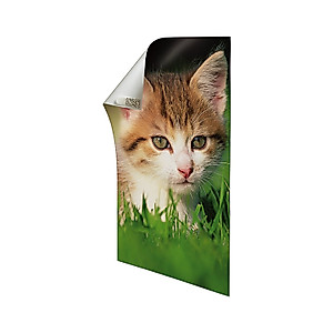 Command 669900230490 Poster Mega-Pack 136 Strips, White, Multi