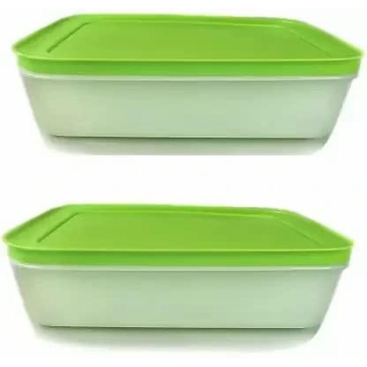 Tupperware 1L Freezermate Storage container 2 Piece GREEN Plastic Utility Container (Pack of 2, Green)