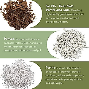 Olive Tree Potting Soil Mix (8 Quarts), for Planting, Repotting, and Growing Olive Bushes/Plants