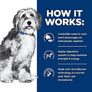 Hill's Prescription Diet ONC Care Wet Dog Food, Chicken & Vegetable Stew, Veterinary Diet, 12.5 oz. Cans, 12-Pack