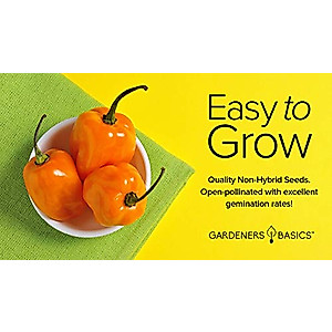 Orange Habanero Pepper Seeds for Planting Heirloom Non-GMO Hot Habanero Peppers Plant Seeds for Home Garden Vegetables Makes a Great Gift for Gardeners by Gardeners Basics