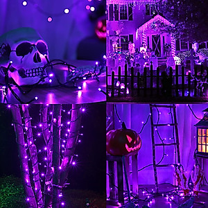 weillsnow 164FT 500 LED Purple Christmas Lights, 8 Modes Waterproof Plug in String Lights for Christmas Indoor Outdoor Yard Party Wedding Garden Home Decorations (Purple)