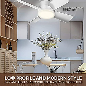 Socket Fan Ceiling Fan with Light, 1000 Lumens Ceiling Fan with Light & Remote, Screws into Any Light Socket No Wiring Needed, 3 Fan Speeds 3 Light Settings, College Dorm Room Essentials As Seen on TV