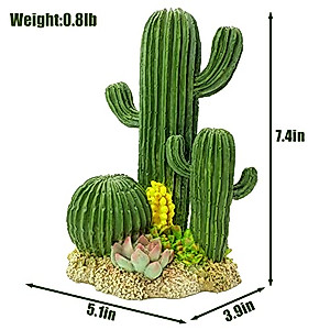 kathson Reptile Tank Decor Lizard Hide and Cave Plants Terrarium Decorations Resin Cactus Desert Aquarium Tank Habitat Accessories for Bearded Dragon Chameleon Leopard Gecko Snake Fish (Cactus)