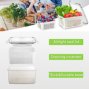 SunPlume 3 Pack Fruit Storage Containers for Refrigerator, Produce Saver Vegetable and Fruit Container with Drain Colanders, BPA-Free Refrigerator Organizer for Lettuce Berry Keepers