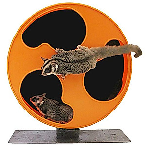 Exotic Nutrition Silent Runner 12" Regular Wheel + Autoclean Track + Sandy Track + Cage Attachment - Pet Exercise Wheel Package Set - for Sugar Gliders, Female Rats, Hamsters, Mice, Small Pets