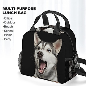 Lunch Box Women Boys Girls Funny Husky Dog Lunch Bag Insulated Thermos Tote with Water Bottle Holder & Removable Shoulder Strap for Back to School Travel Work