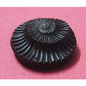 Bricker Sudarshan Shaligram from Nepal Gandaki River Chakra (Black)