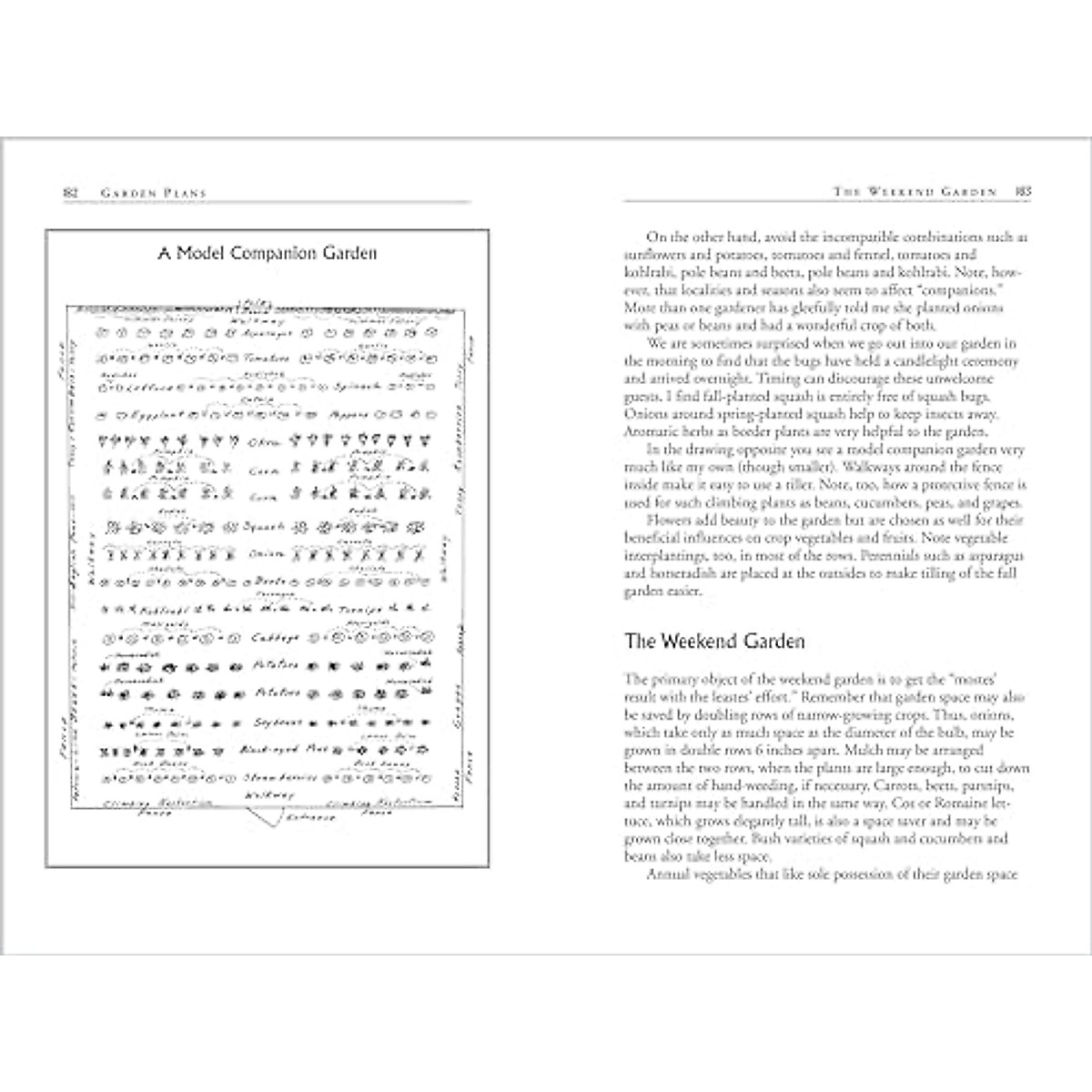 Carrots Love Tomatoes: Secrets of Companion Planting for Successful Gardening